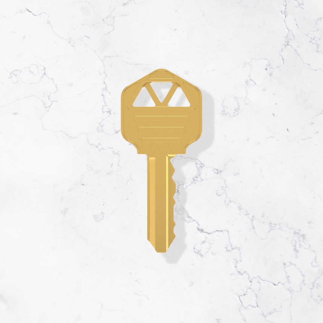 MON-KEY – Plainsight